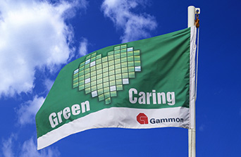 Gammon Construction Limited | Sustainability Framework